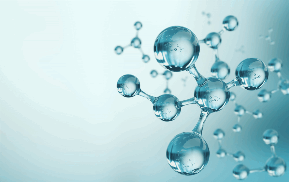 End-to-End Integrated Drug Discovery | PI Health Sciences